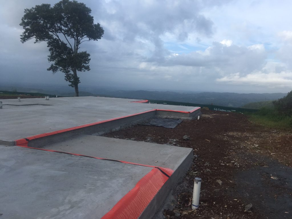 Pre-Construction Termite Management Gold Coast and Brisbane